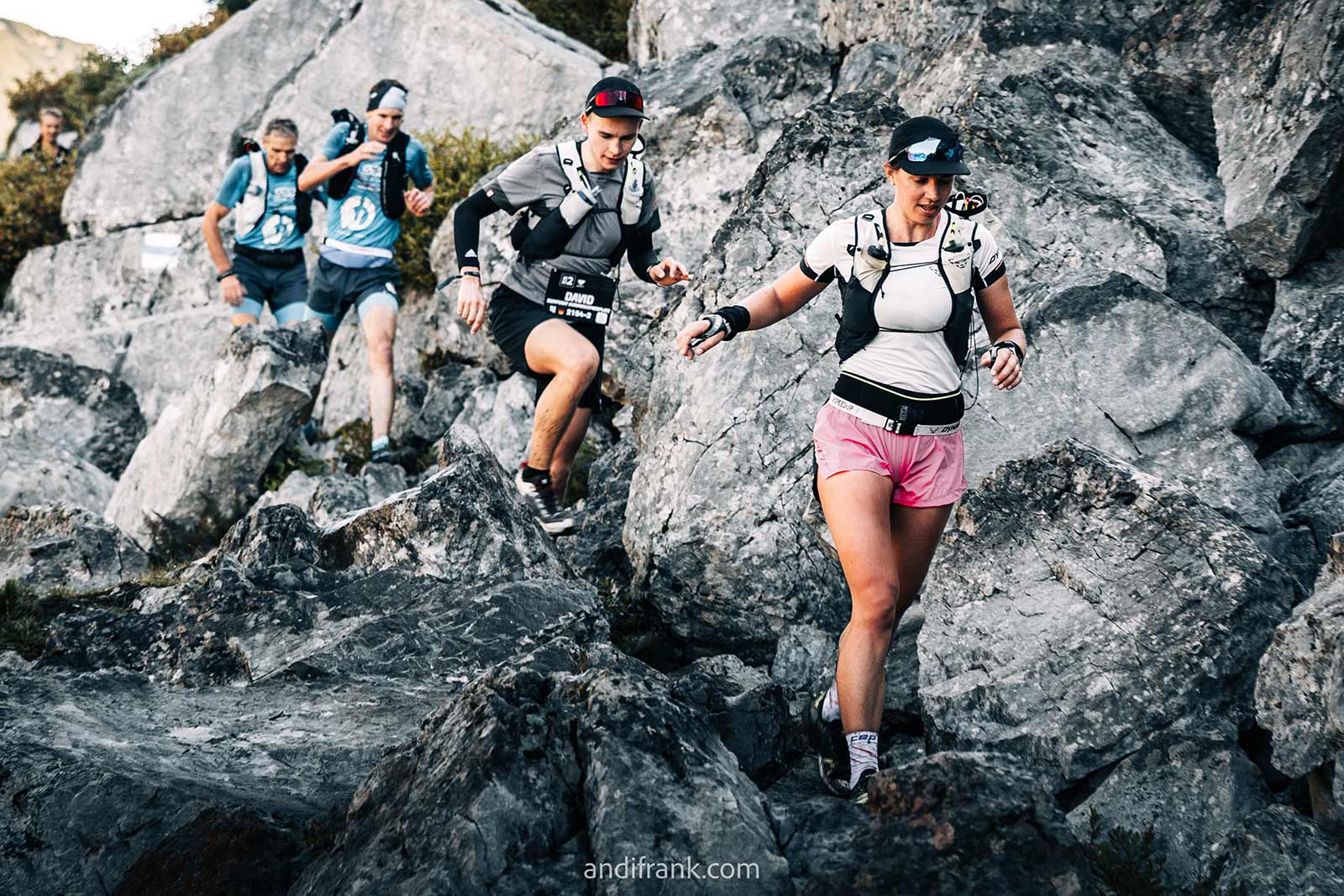About TAR - Transalpine Run